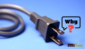 Why Do Electrical Plugs Have Holes in the Prongs? (Answered)